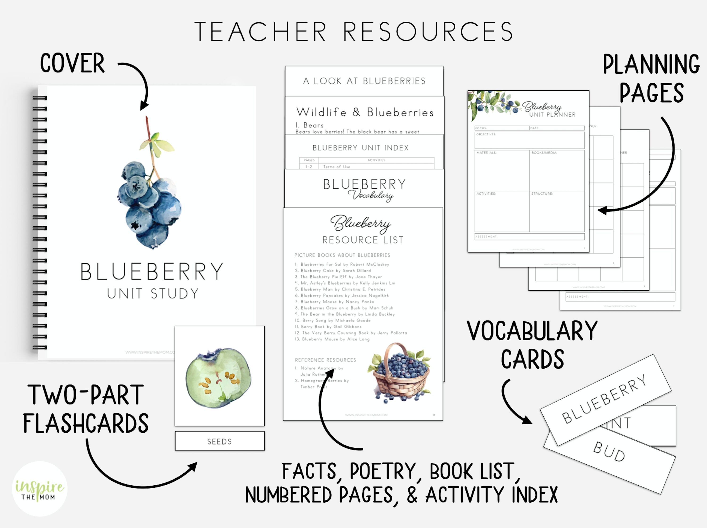 Blueberry Unit Study, Nature Study, Life Cycle, Prek - 3rd Grade ...
