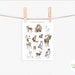 Winter Animals Unit, Nature Study, Homeschool Printable, Prek - 2nd ...