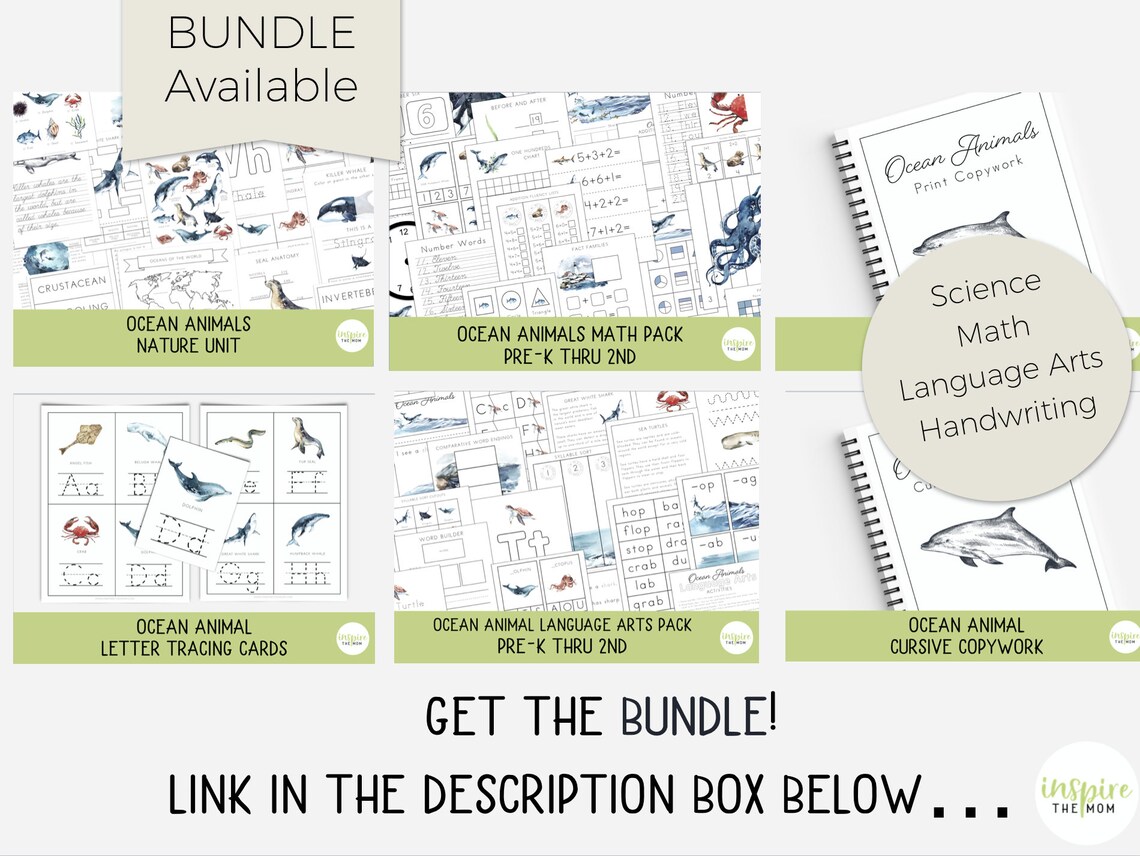 Ocean Animals Math Pack Prek-2nd Ocean Unit Math - Etsy