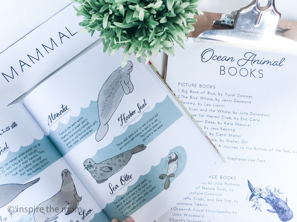 Ocean Animals Unit Study for Kids | Prek–2nd Science | Nature ...