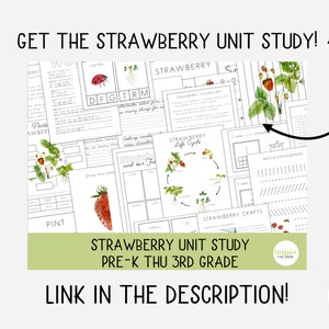 Strawberry Plant Life Cycle Wheel, Strawberry Activity, Strawberry ...