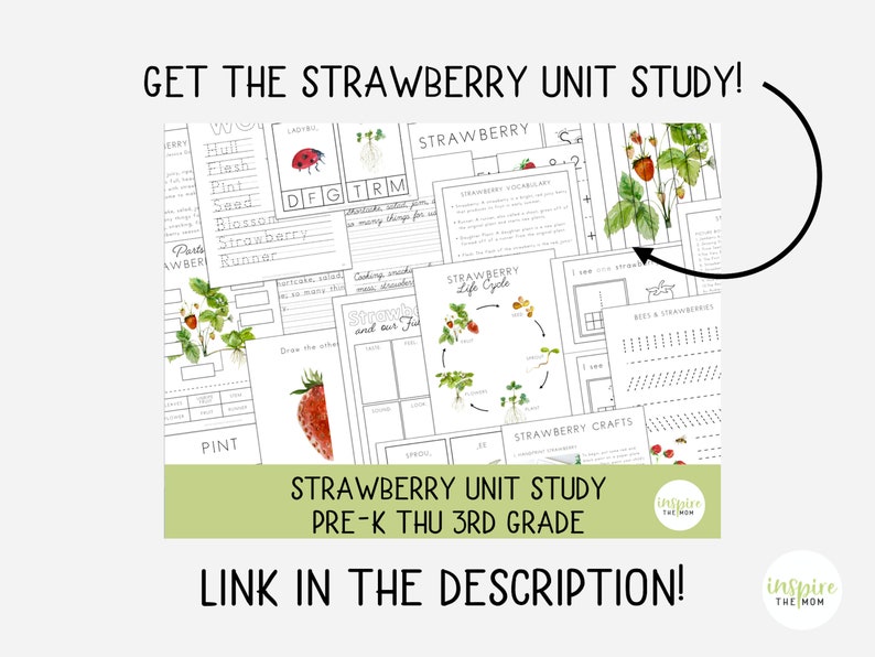 Strawberry Plant Life Cycle Wheel, Strawberry Activity, Strawberry ...