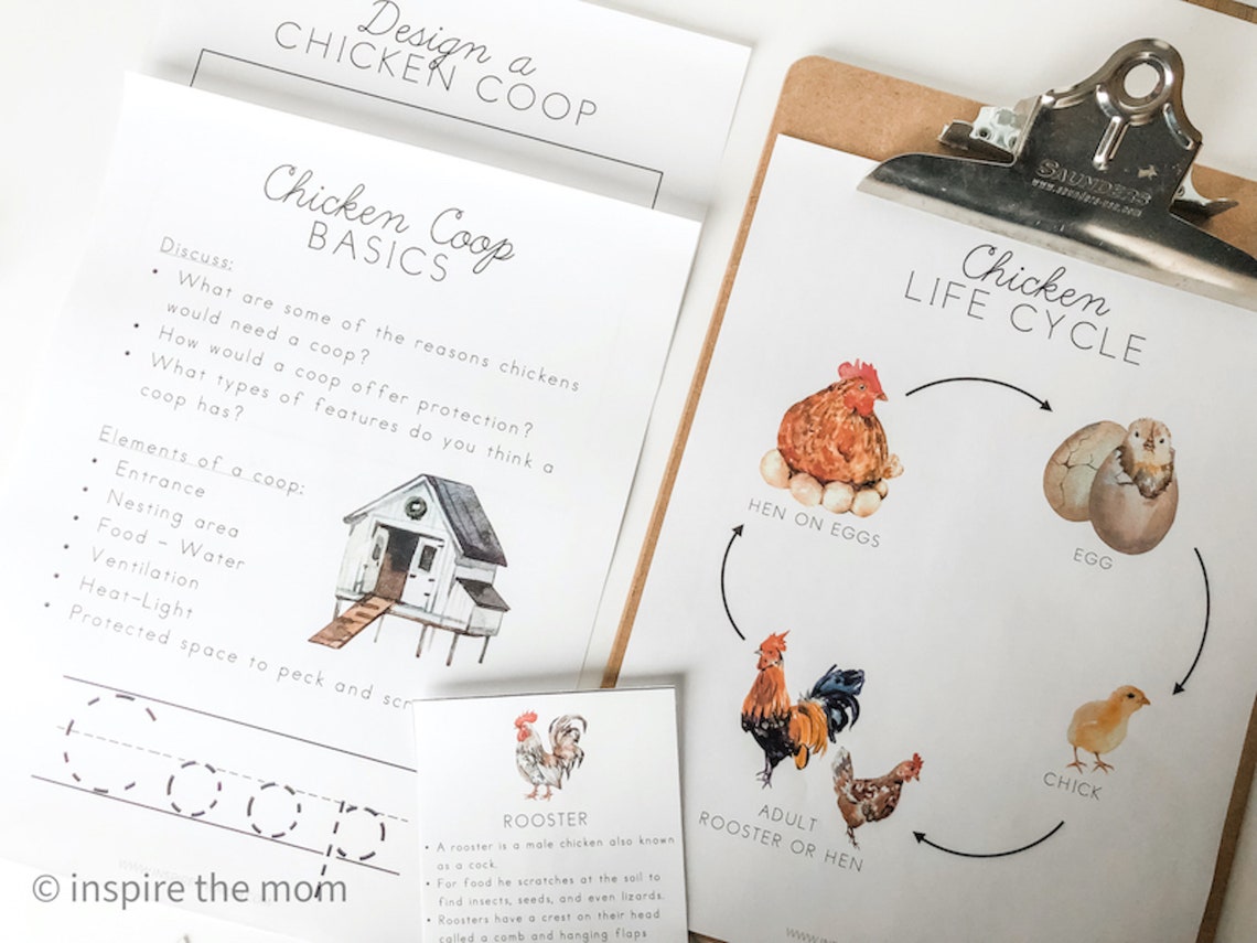 Farm Animals Unit Nature Study Prek-2nd Farm Activities - Etsy