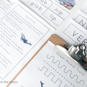 Ocean Animals Literacy Pack, Ocean Activities, Montessori Learning ...
