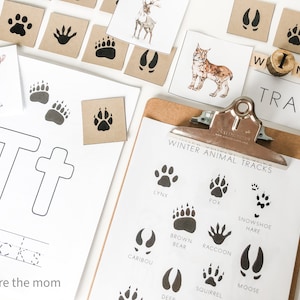 Winter Animals Unit, Nature Study, Homeschool Printable, Prek - 2nd ...