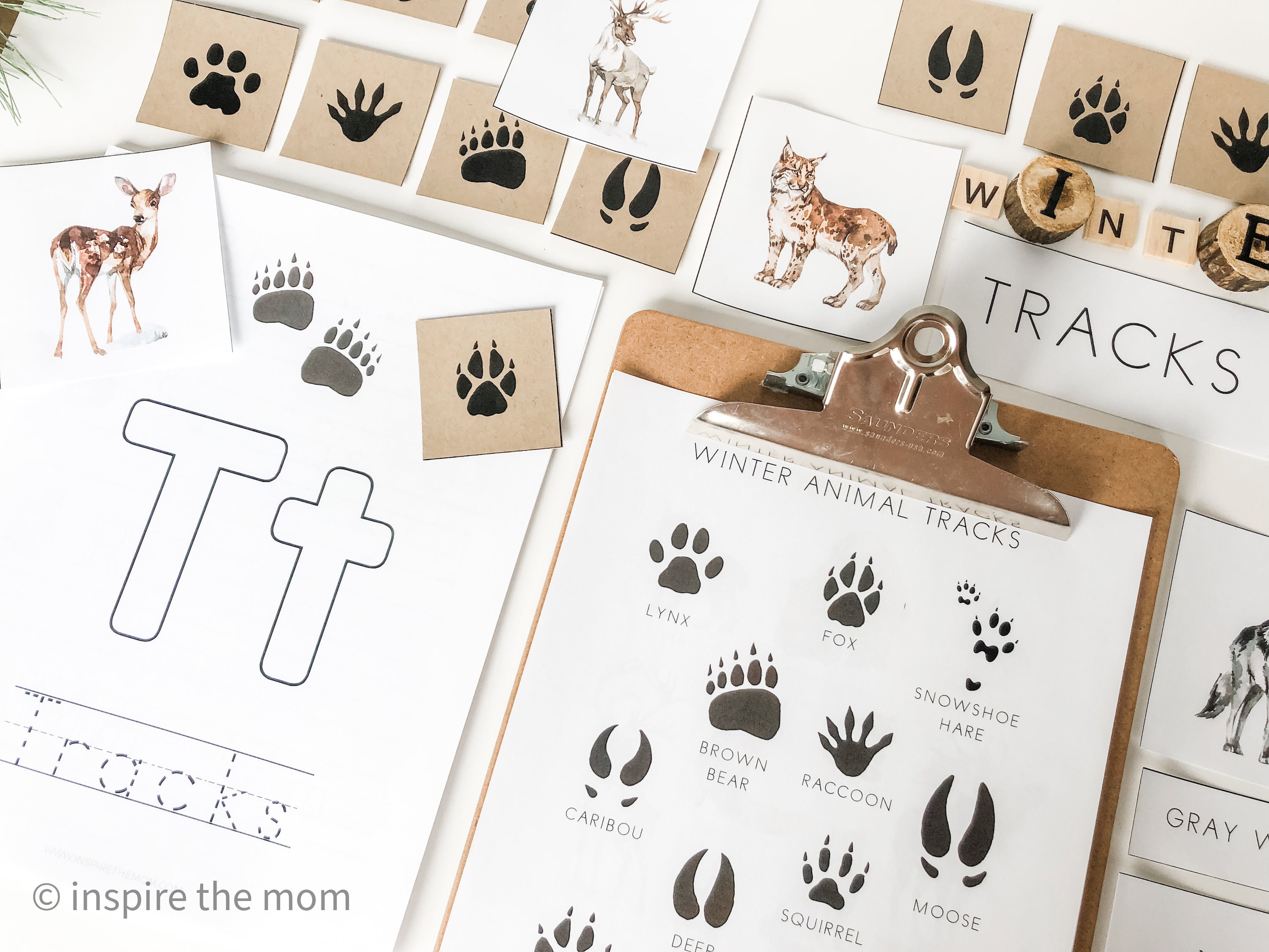 Winter Animals Unit Study for Kids | Prek–2nd Nature Activities ...