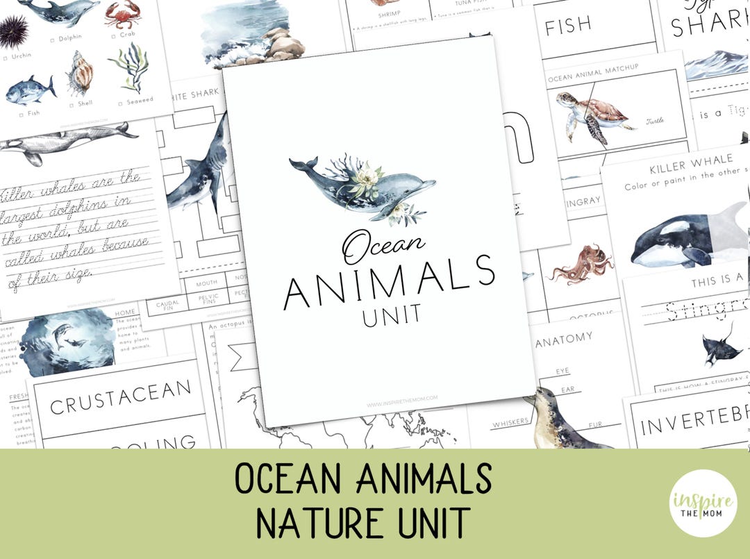 Ocean Animals Unit Study for Kids | Prek–2nd Science | Nature ...