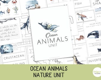 Ocean Zones Activity, Morning Basket, Homeschool, Learning Resource ...