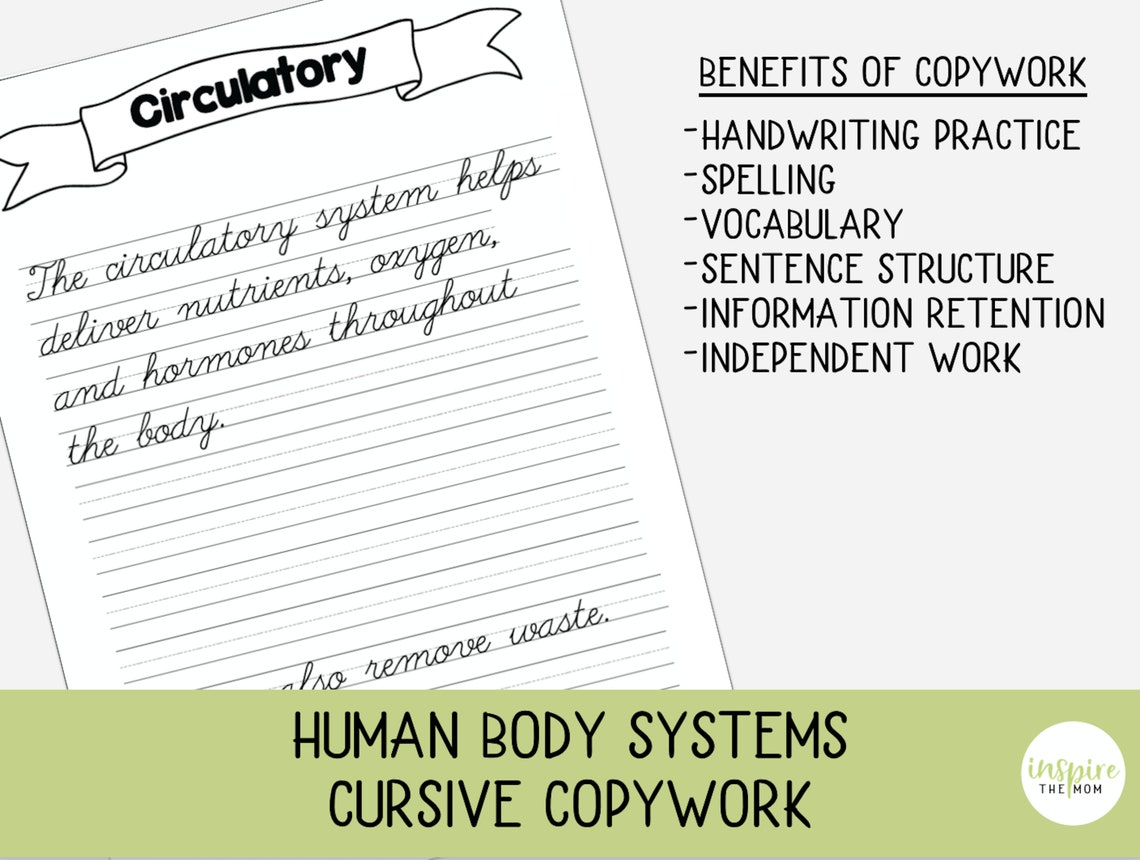 Human Body Systems, Cursive Copywork, Human Body Facts, Cursive ...