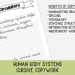 Human Body Systems, Cursive Copywork, Human Body Facts, Cursive ...