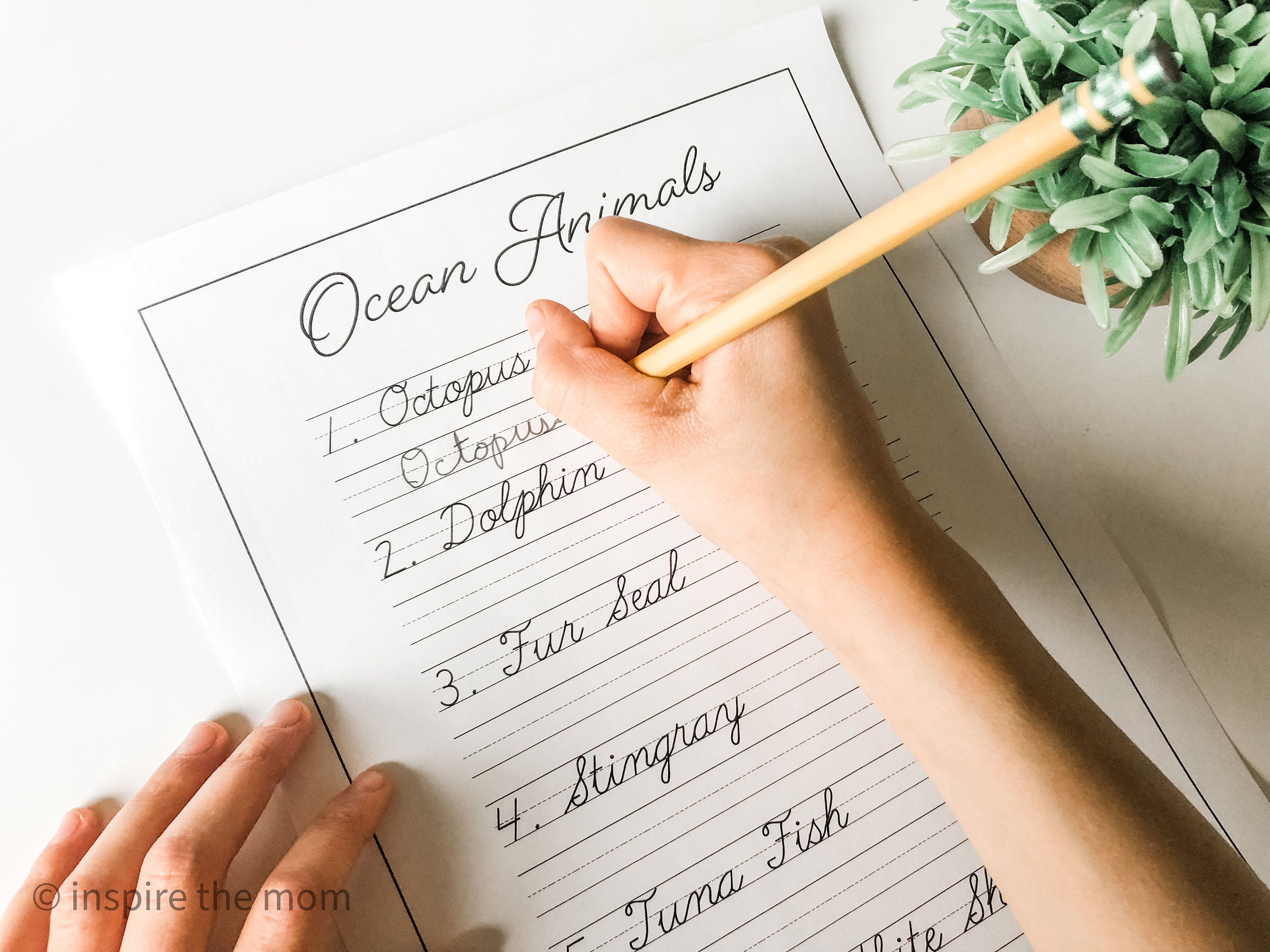 Ocean Animals Cursive Copywork, Ocean Animal Facts, Cursive Handwriting ...