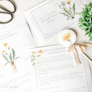 Dandelion Unit Study, Nature Study, Life Cycle, Prek - 3rd Grade ...