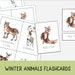 Winter Animals Flashcards, and Winter Animals Poster, Science Printable ...
