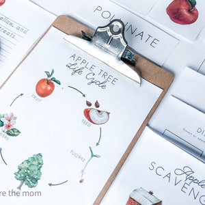 Apple Unit Study, Apple Activities, Prek - 2nd Grade, Fall Unit ...