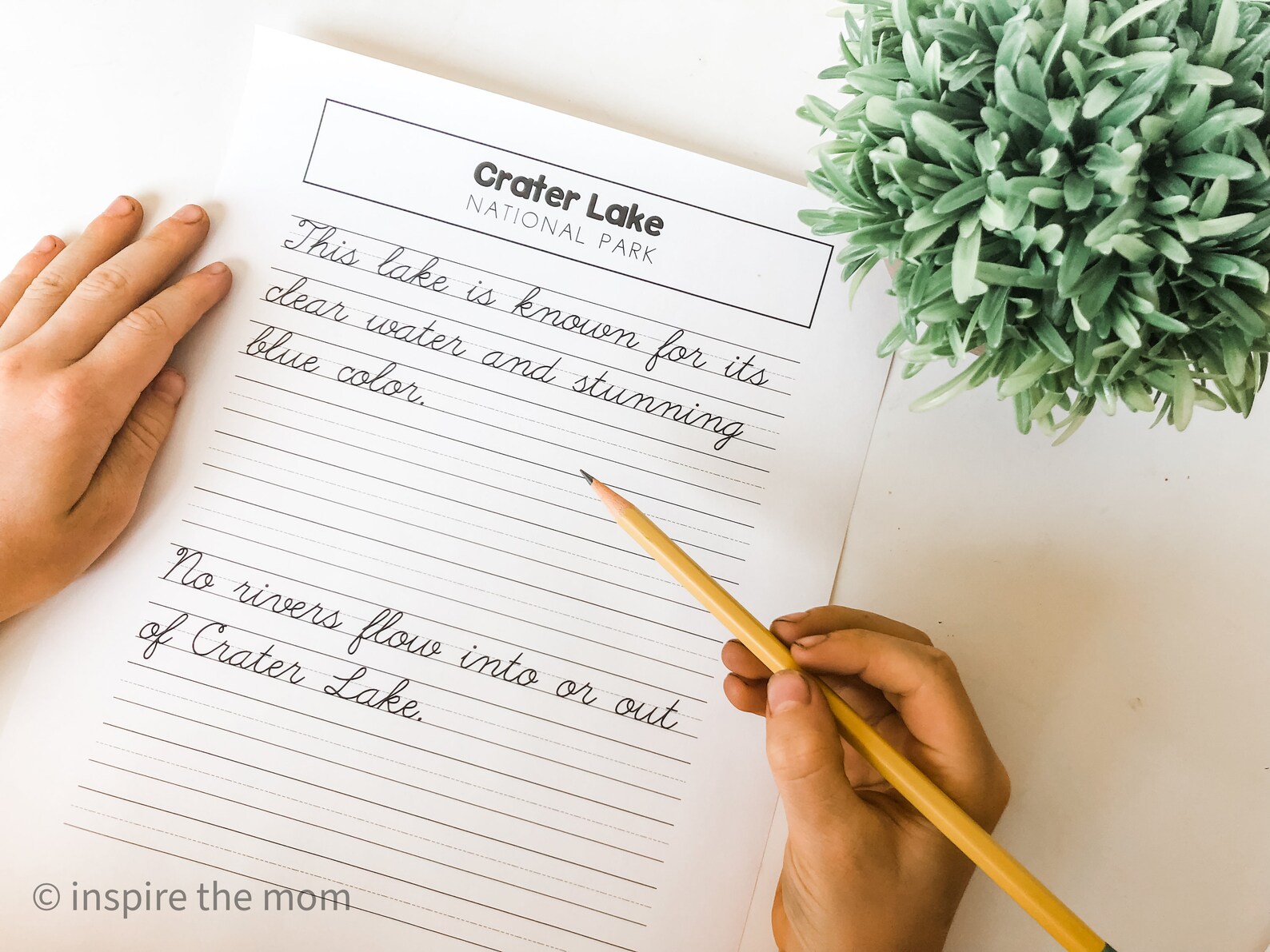 U.S. National Parks, Cursive Copywork, National Park Facts, Cursive ...