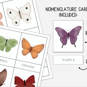 Butterfly Colors Flashcards, Nature Printable, Preschool Colors, Color ...