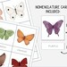 Butterfly Colors Flashcards, Nature Printable, Preschool Colors, Color ...