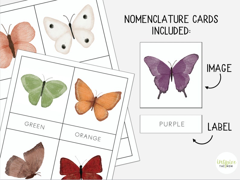 Butterfly Colors Flashcards, Nature Printable, Preschool Colors, Color ...