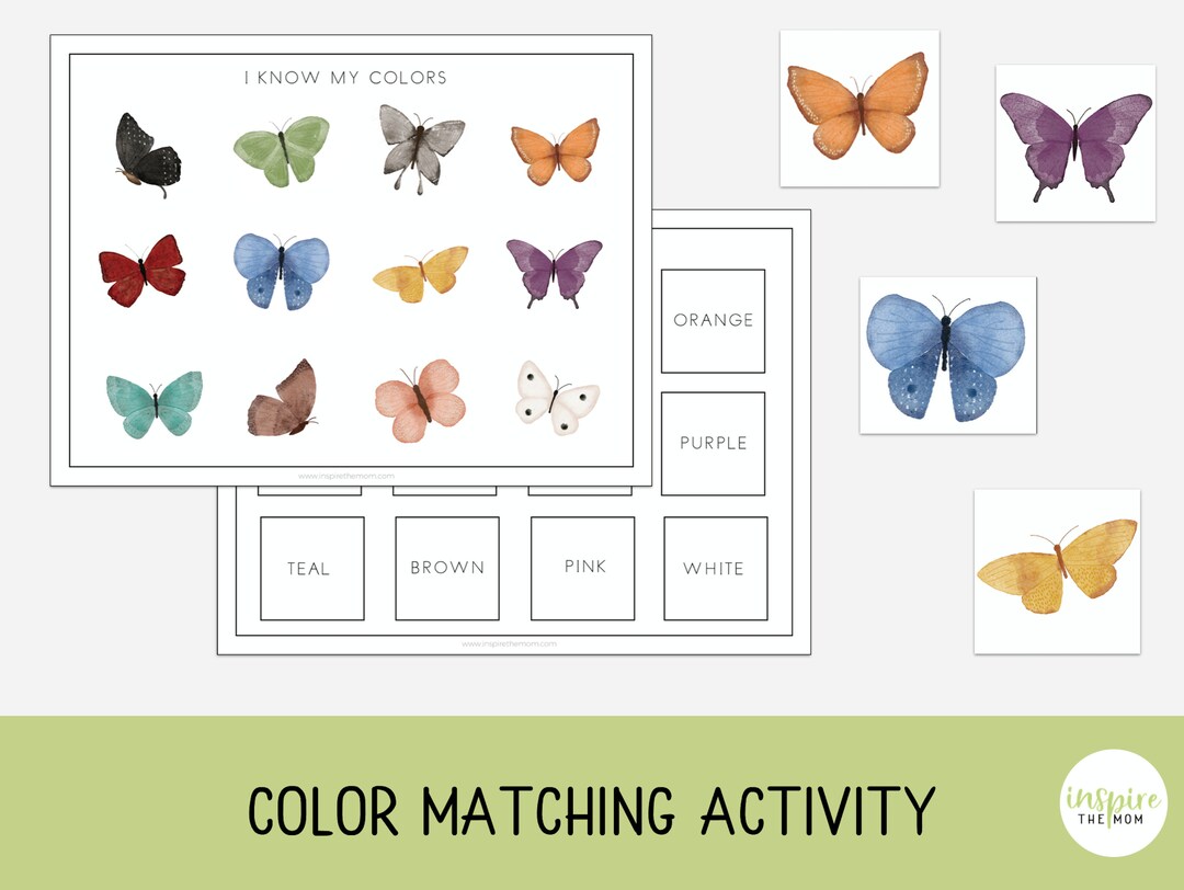 Butterfly Color Matching Activity, Preschool Activity, Preschool Colors ...
