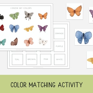 Butterfly Color Matching Activity, Preschool Activity, Preschool Colors ...