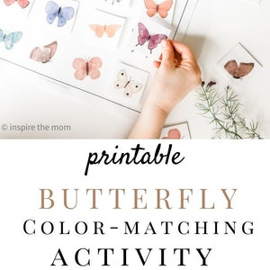 Butterfly Color Matching Activity, Preschool Activity, Preschool Colors ...