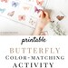Butterfly Color Matching Activity, Preschool Activity, Preschool Colors ...