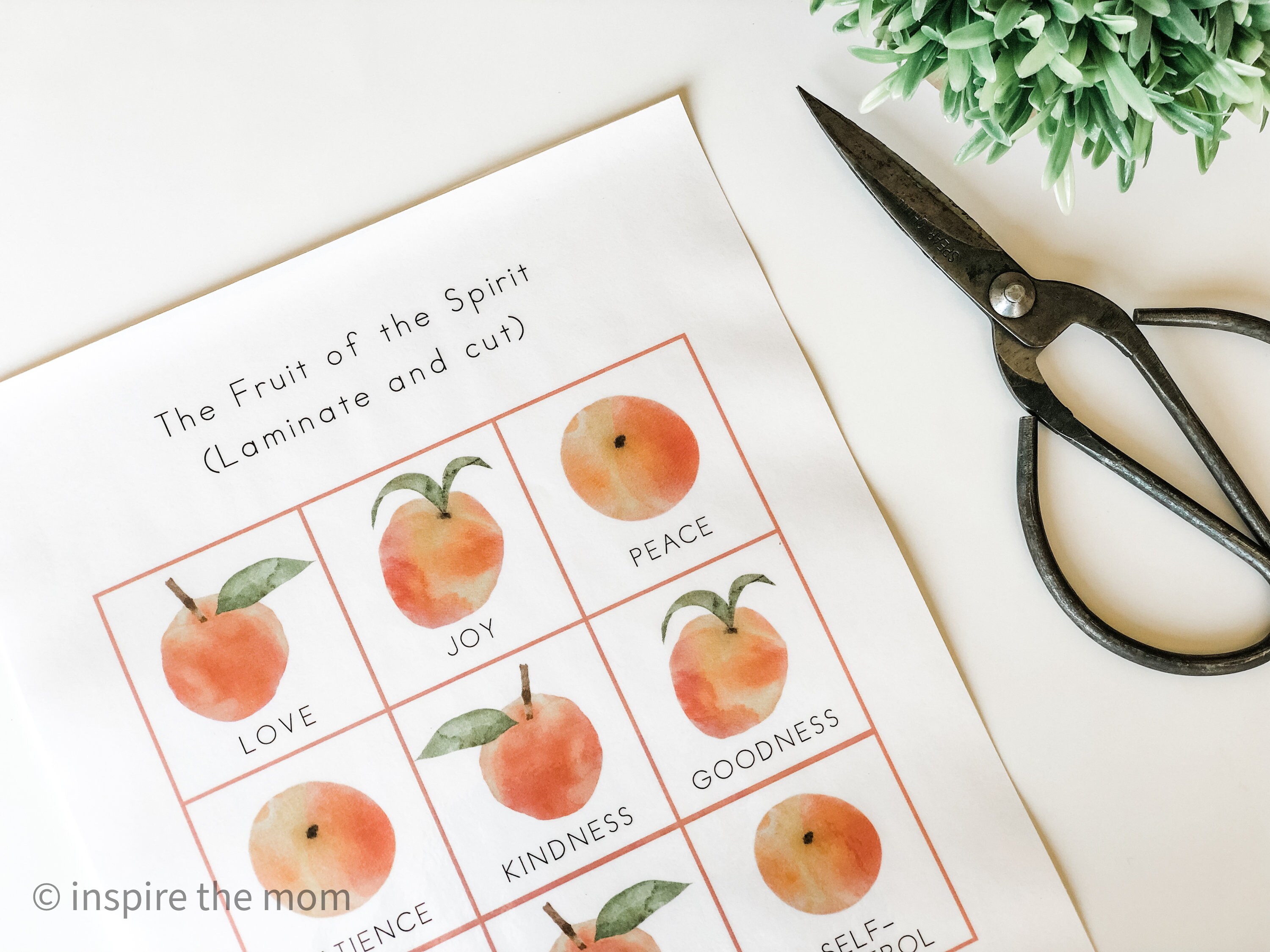 Fruit of the Spirit Printable Matching Game, Galatians 5 Activity ...