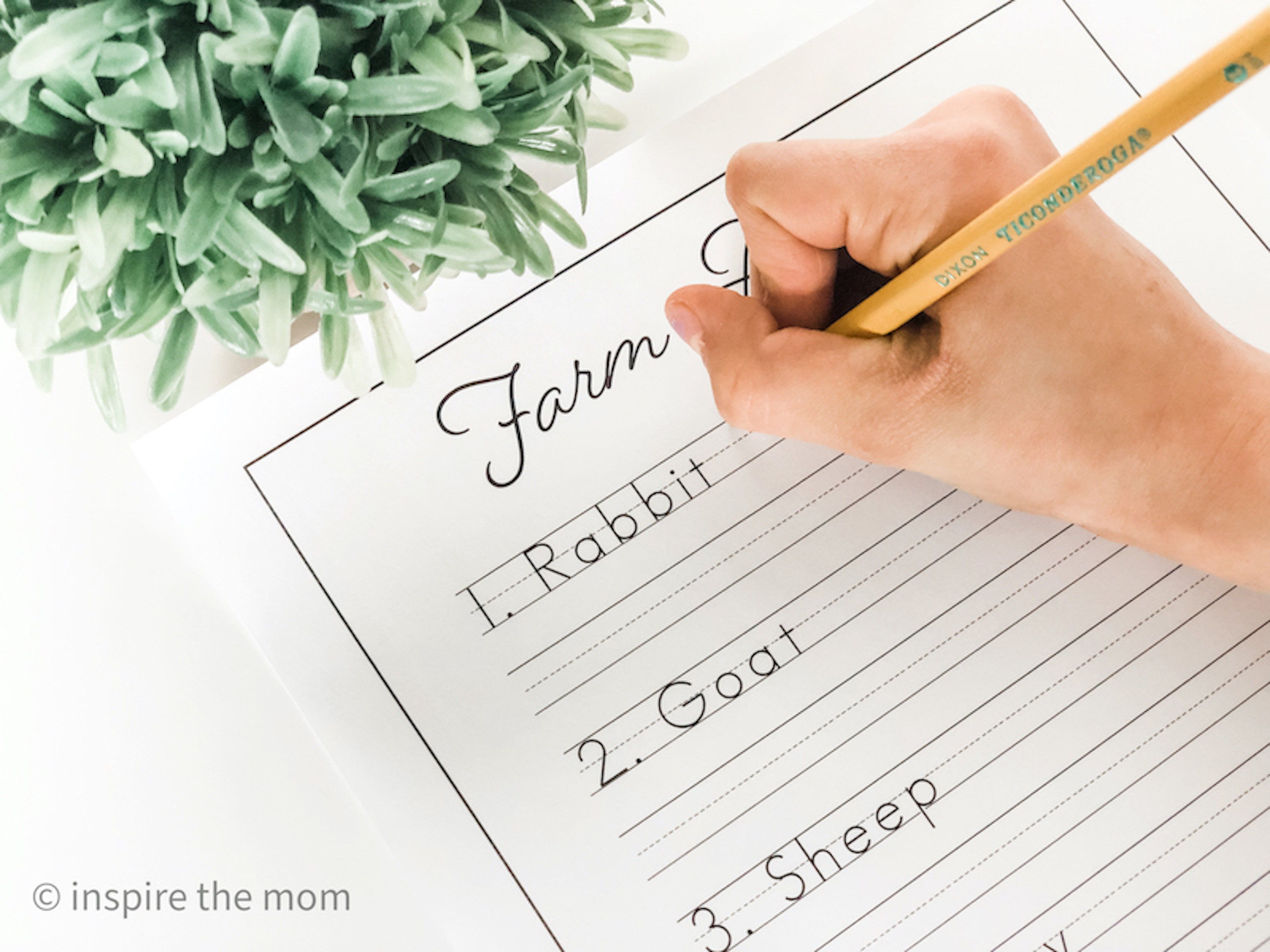 Farm Animals Print Copywork Farm Animal Facts Print - Etsy