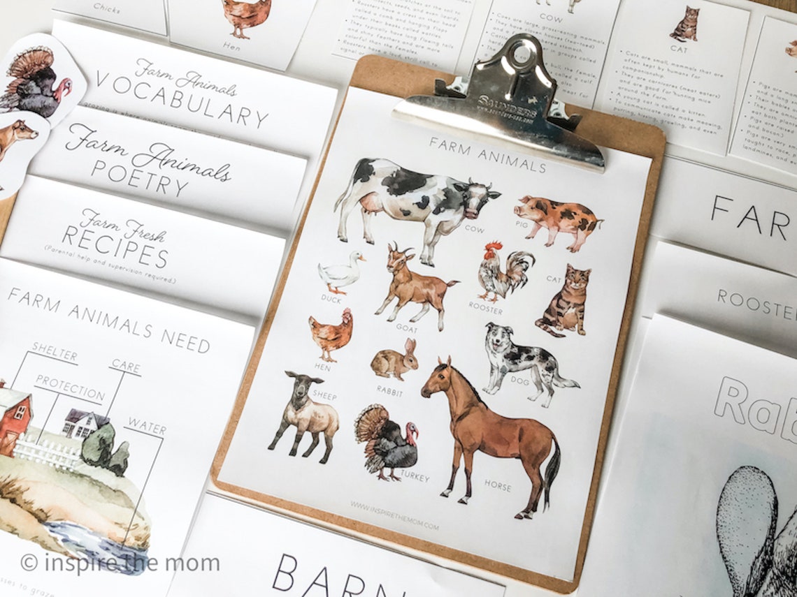 Farm Animal Unit BUNDLE Nature Study Math Language Arts - Etsy