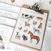 Farm Animal Unit BUNDLE, Nature Study, Math, Language Arts, Handwriting ...