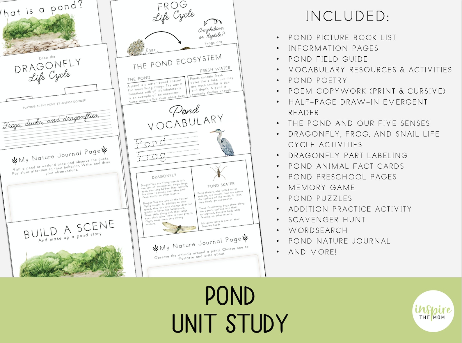 Pond Unit, Nature Study, Life Cycle, Prek - 3rd Grade, Spring Unit ...