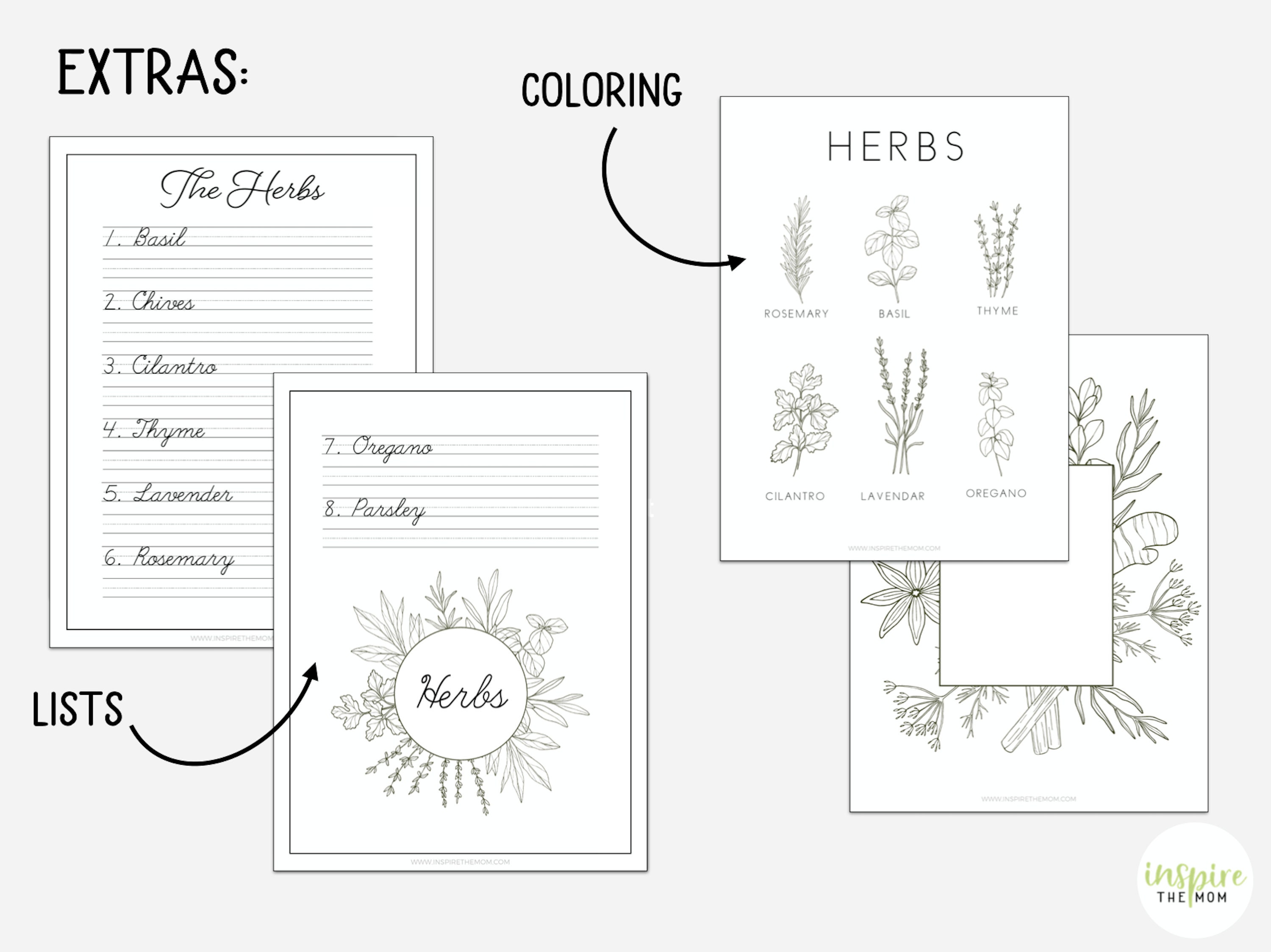 Herbs, Cursive Copywork, Herb Facts, Cursive Handwriting Practice ...