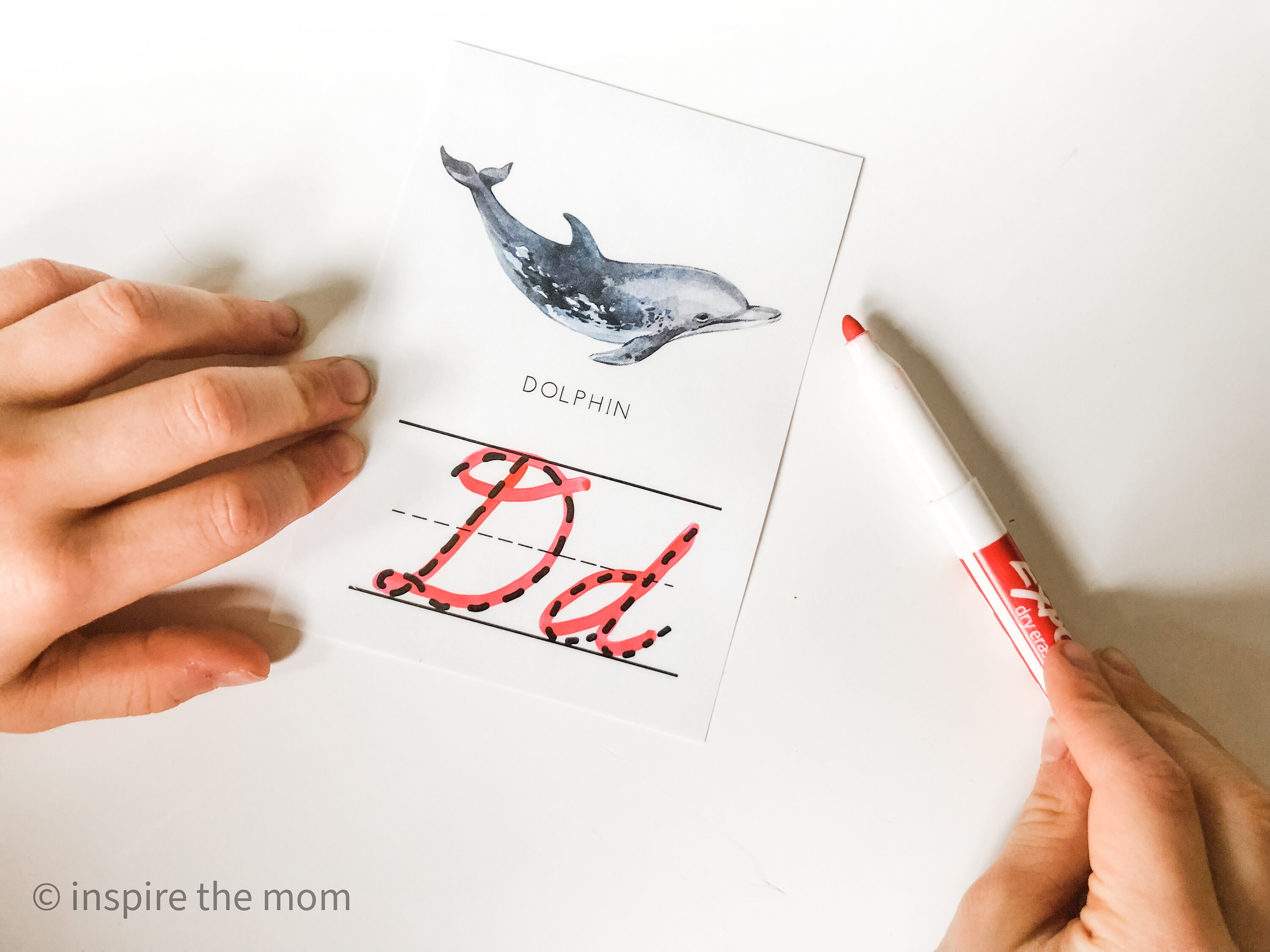 Ocean Animal Alphabet Tracing Cards, Handwriting Activity, Ocean ...