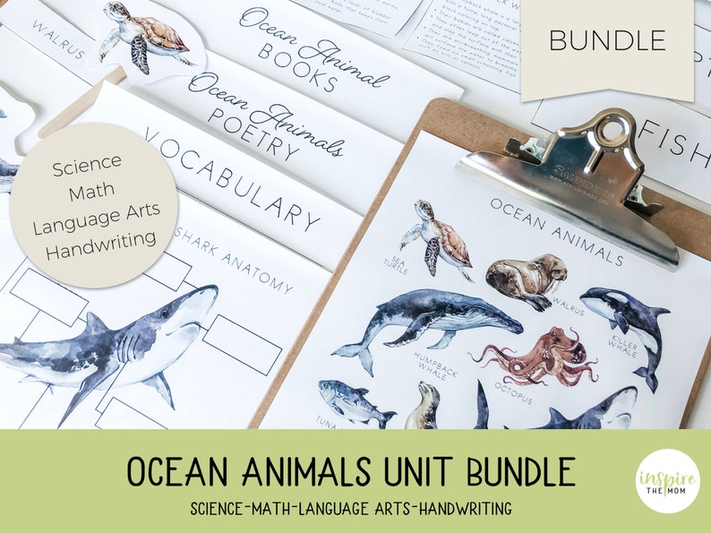 Ocean Animals Unit BUNDLE Nature Study Math Language Arts - Etsy