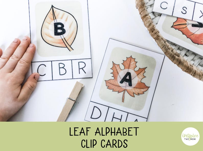 Leaf Alphabet Clip Cards | Uppercase and Lowercase Letter Recognition ...