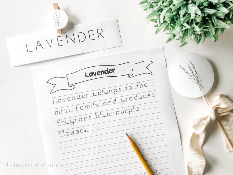 Herbs, Print Copywork, Herb Facts, Print Handwriting Practice ...