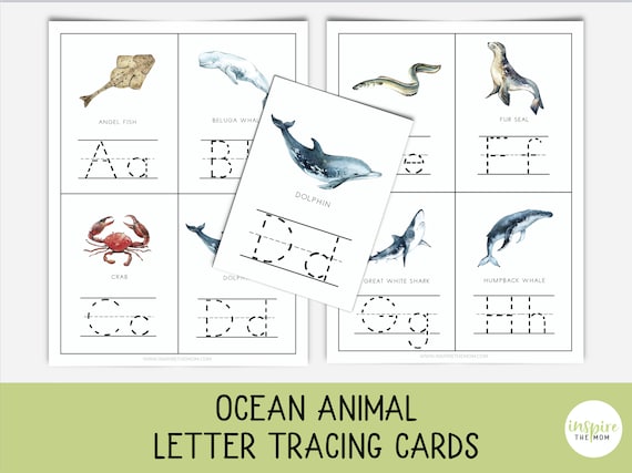 Ocean Animal Alphabet Tracing Cards Handwriting Activity | Etsy