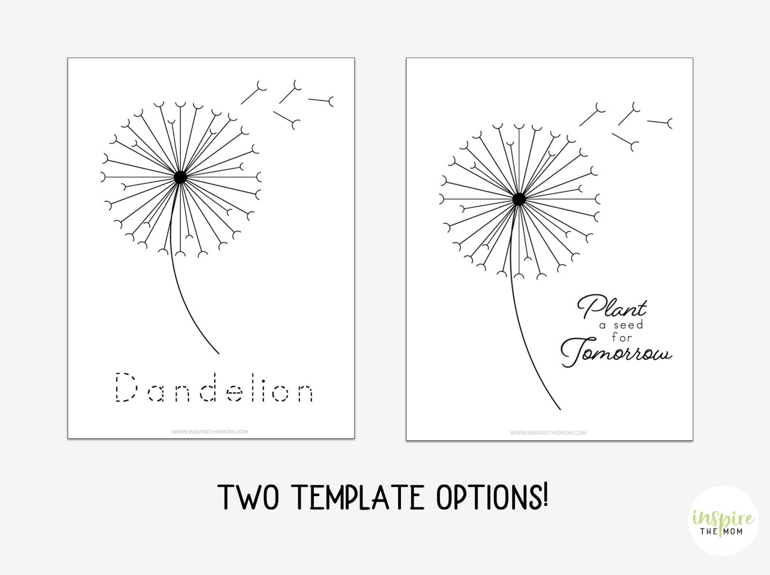 Dandelion Craft Template, Dandelion Wish, Preschool Craft, Montessori ...