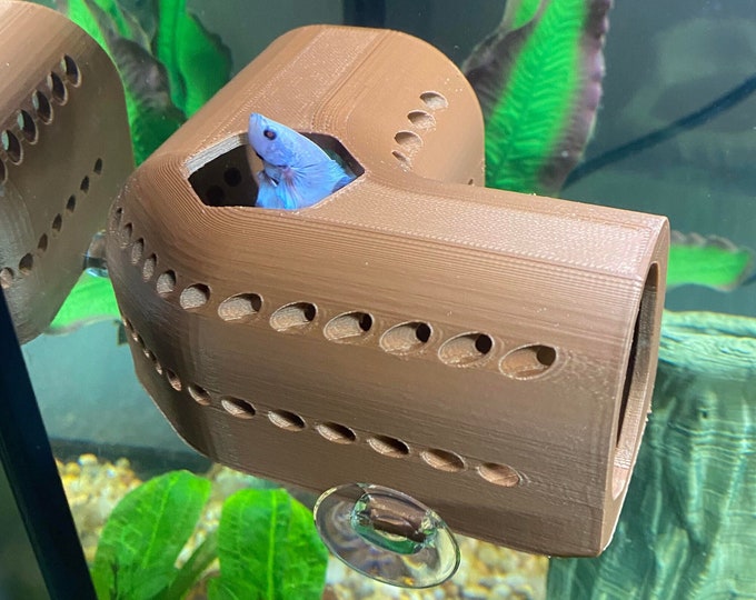 3D Printed Axolotl/aquarium Hide - Etsy