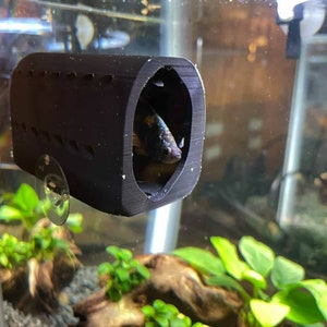 Curved Betta & Axolotl Home Corner Fish Hide 3D Printed ABS - Etsy