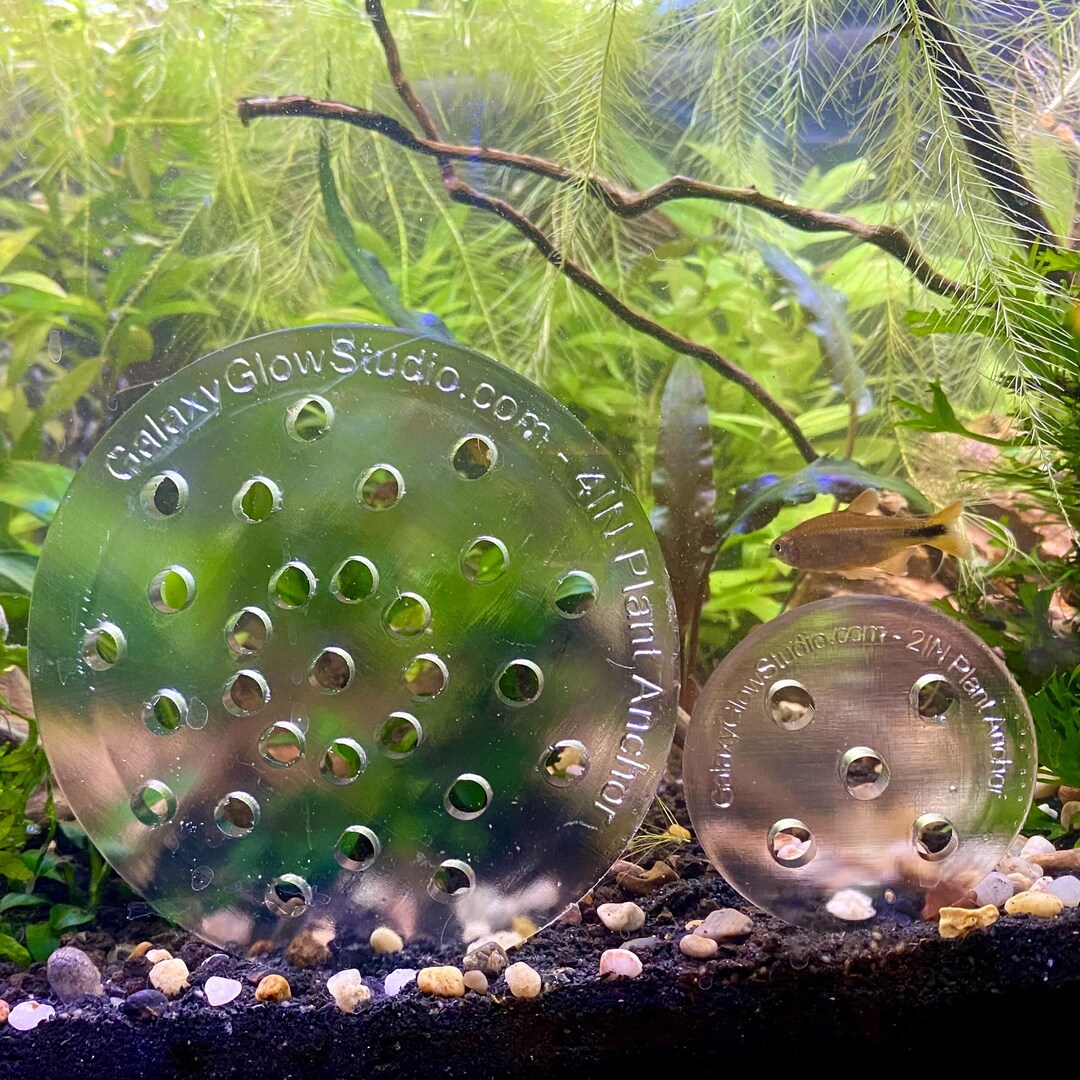 Sinking Plant Anchors - CLEAR VERSION - Glass Like, but Strong! - 3D ...