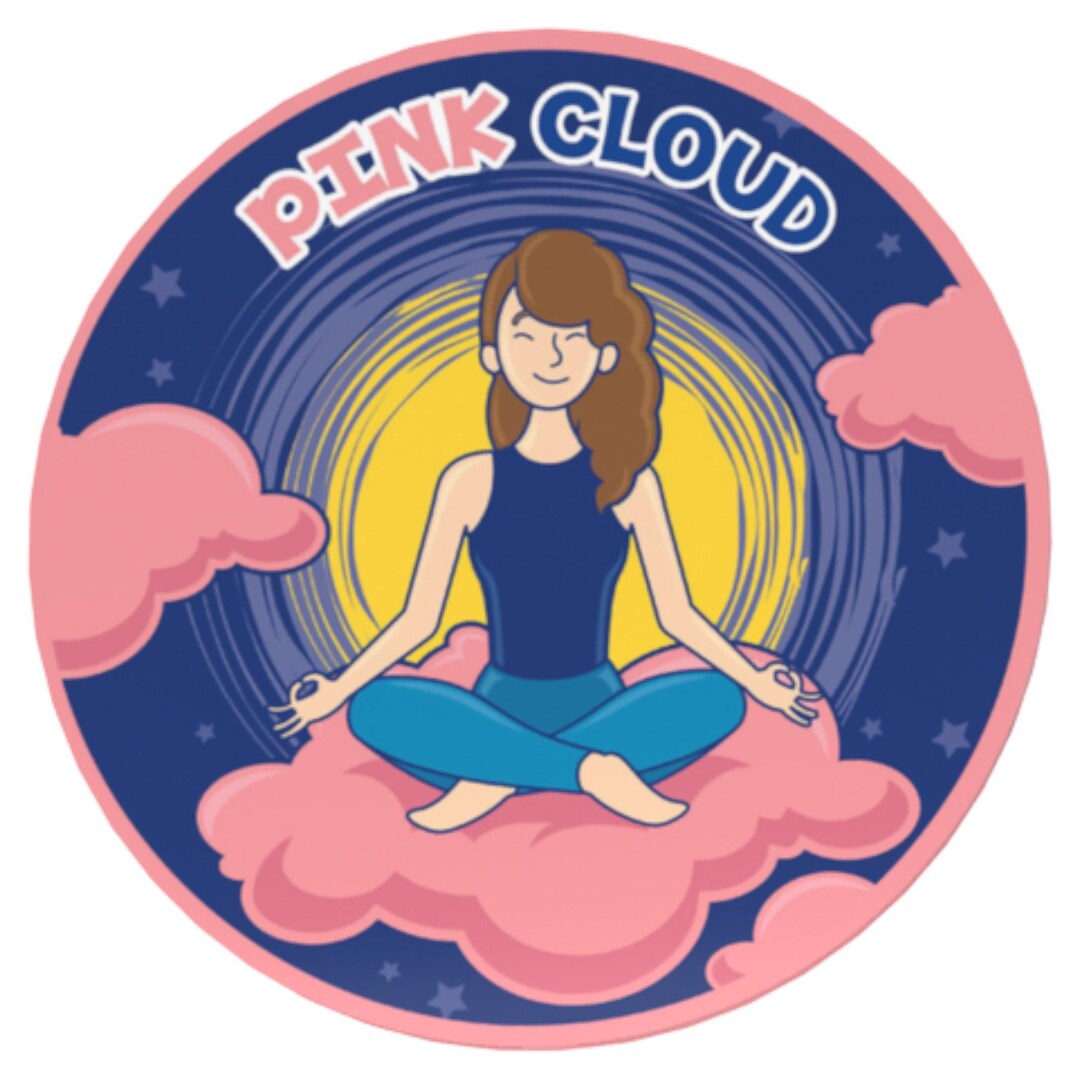 AA Pink Cloud Chip - AA, Alcoholics Anonymous, Poker Style Chip ...