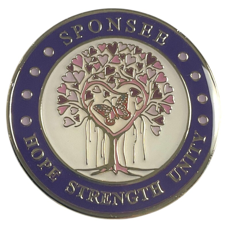 AA NA Al-anon Sponsee Chip Medallion Gift | Recovery Token | One Day at ...
