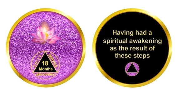 Sober Chips Narcotics Anonymous 21 Year Orange Medallion NA Clean Coin ...