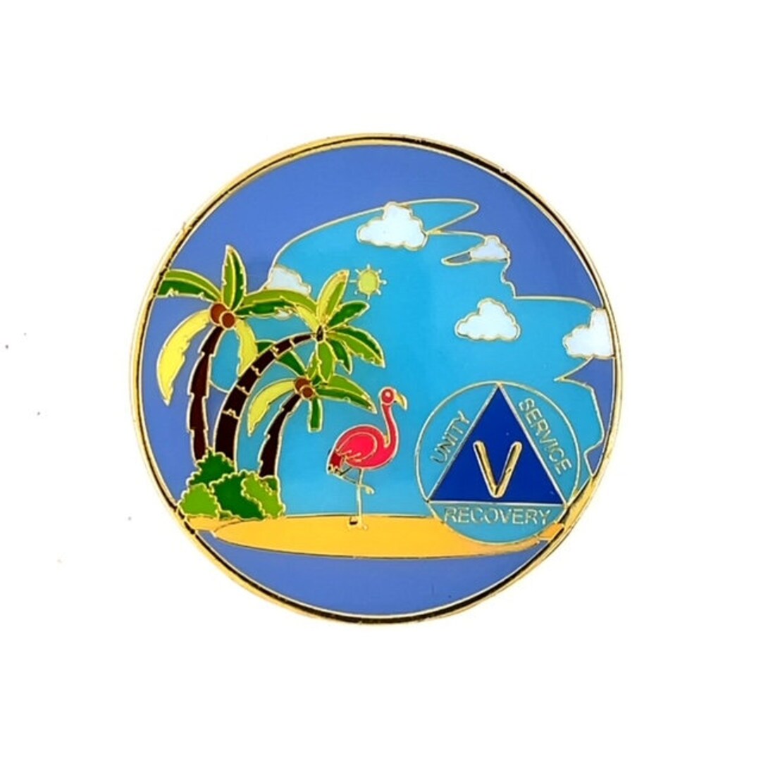 AA, Beach Blue Medallion, Chip, Token, Coin, Alcoholics Anonymous - Etsy
