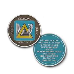 The Camel Prayer AA, Alcoholics Anonymous, Medallion, Chip, Token, Coin ...