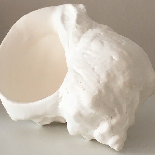 Handmade Ceramic Shell Planter Ready to Paint Sea Shell | Etsy