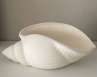 Ceramic shells | Etsy