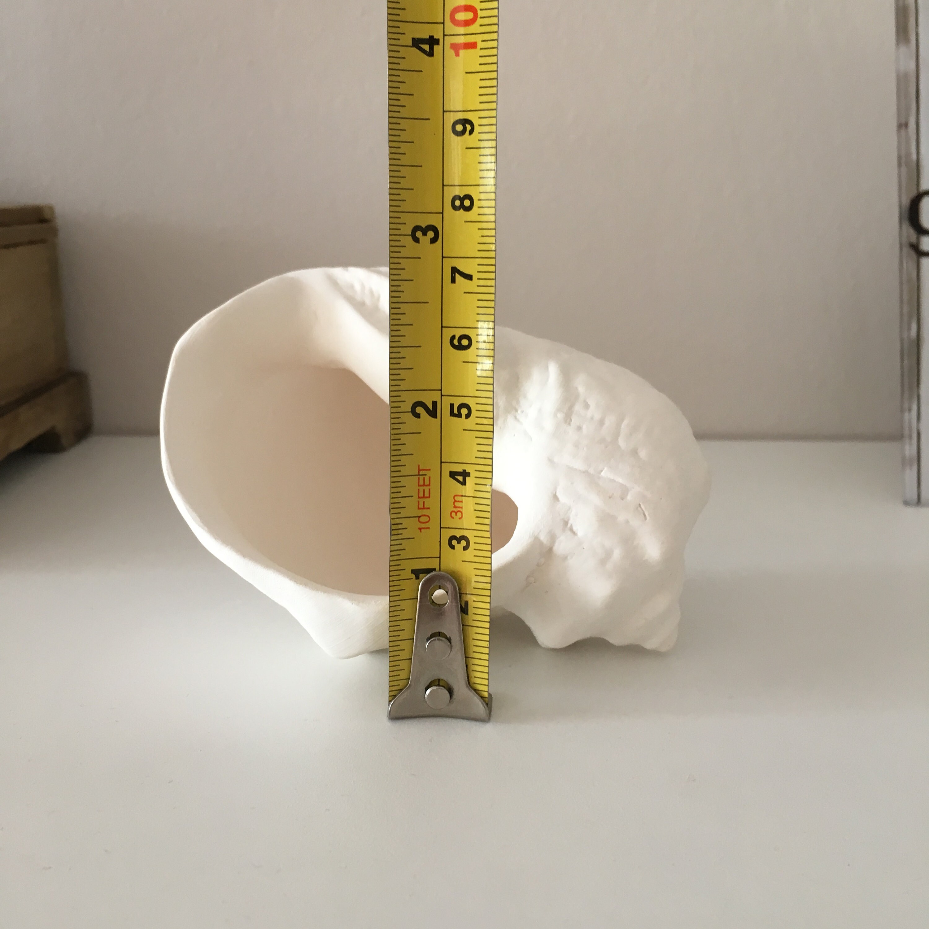 Ceramic Clam Shell Ready to Paint Ceramic Bisque Shell | Etsy