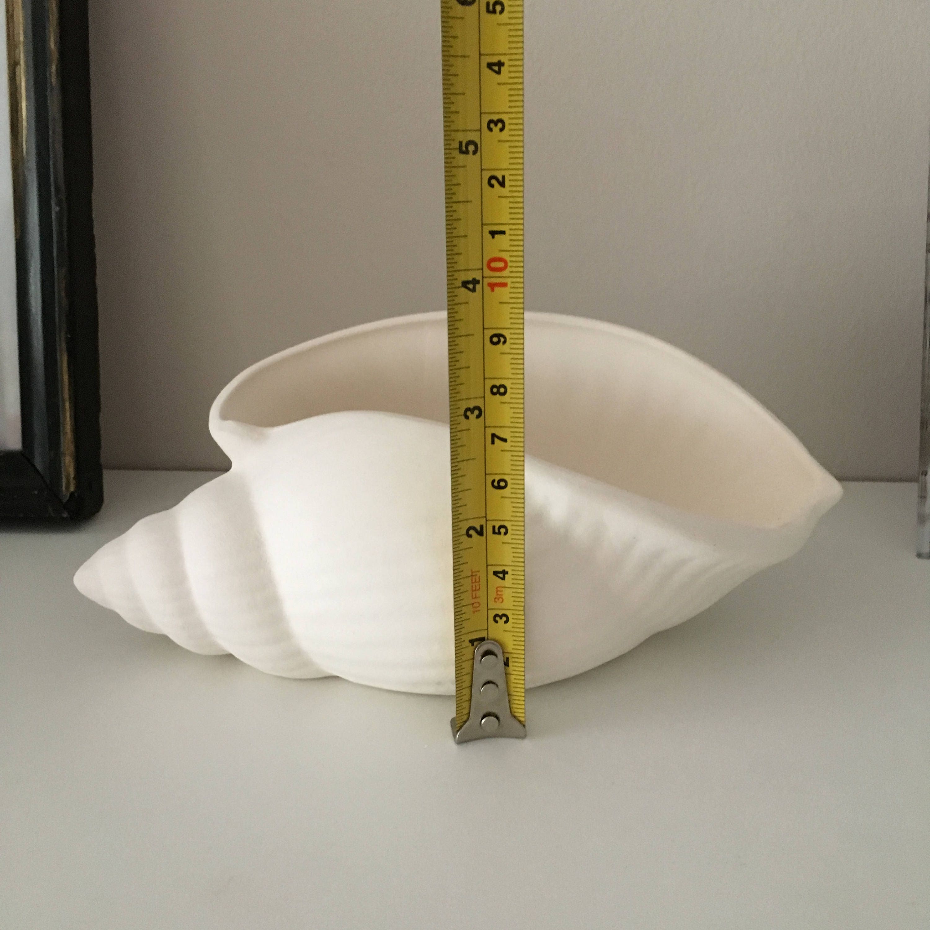 Handmade Ceramic Shell Planter Ready to Paint Sea Shell | Etsy